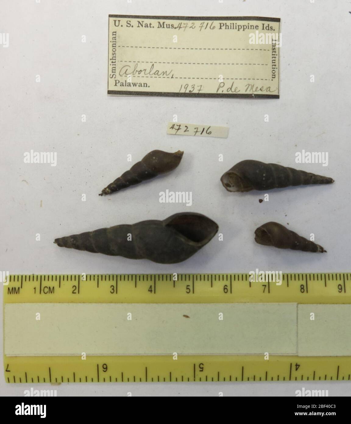 20174 hi-res stock photography and images - Alamy