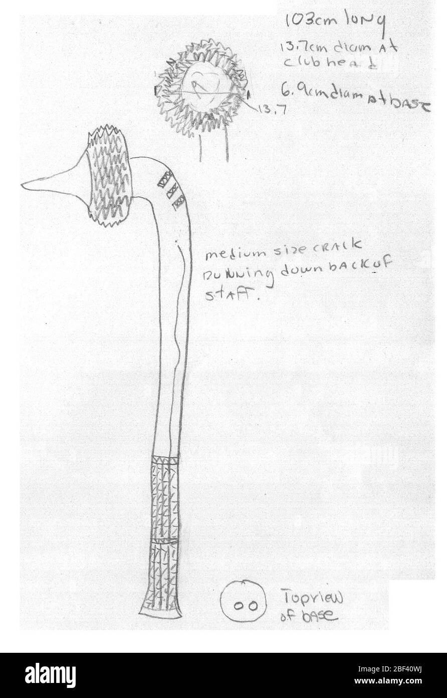 Anoura hi-res stock photography and images - Alamy