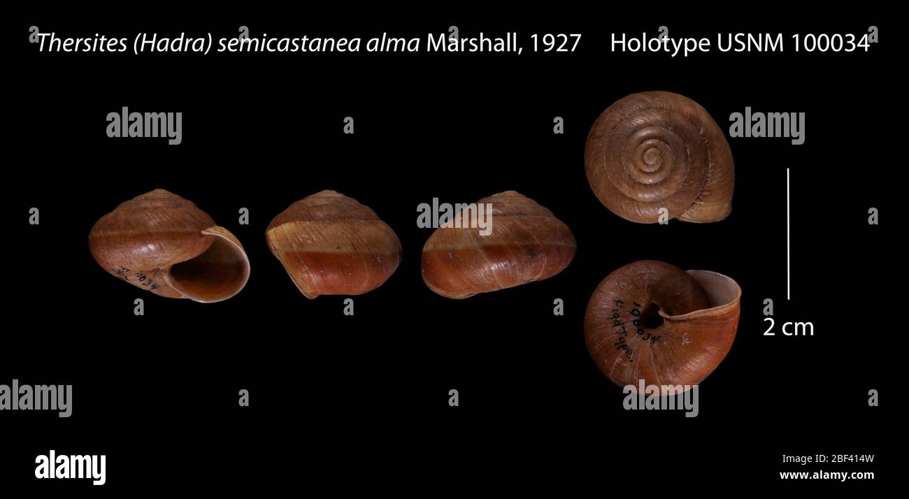 Hadra hi-res stock photography and images - Alamy