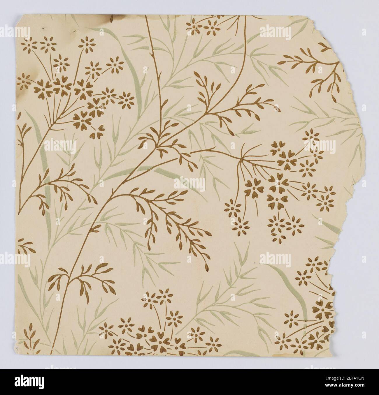 Sidewall sample. Fragmentary wallpapers from sample book, including ...