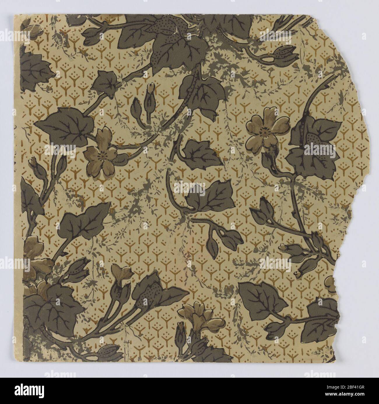 Sidewall sample. Fragmentary wallpapers from sample book, including ...