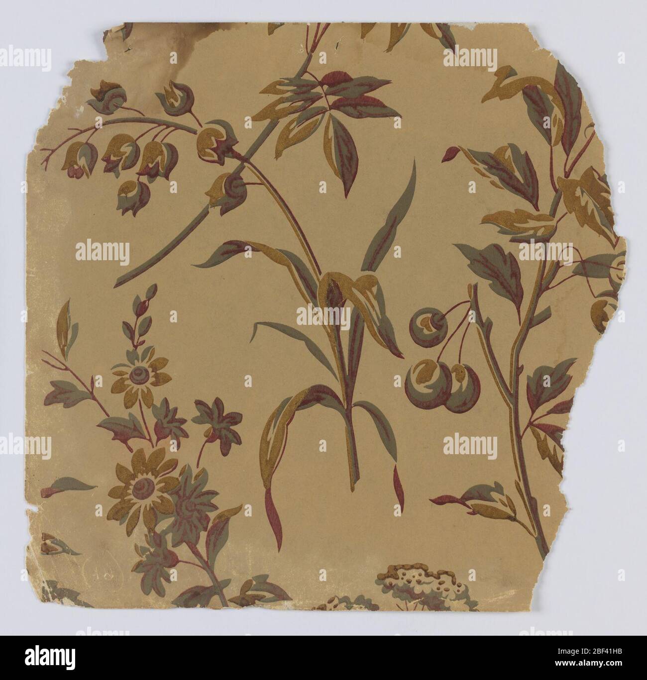 Sidewall sample. Fragmentary wallpapers from sample book, including ...