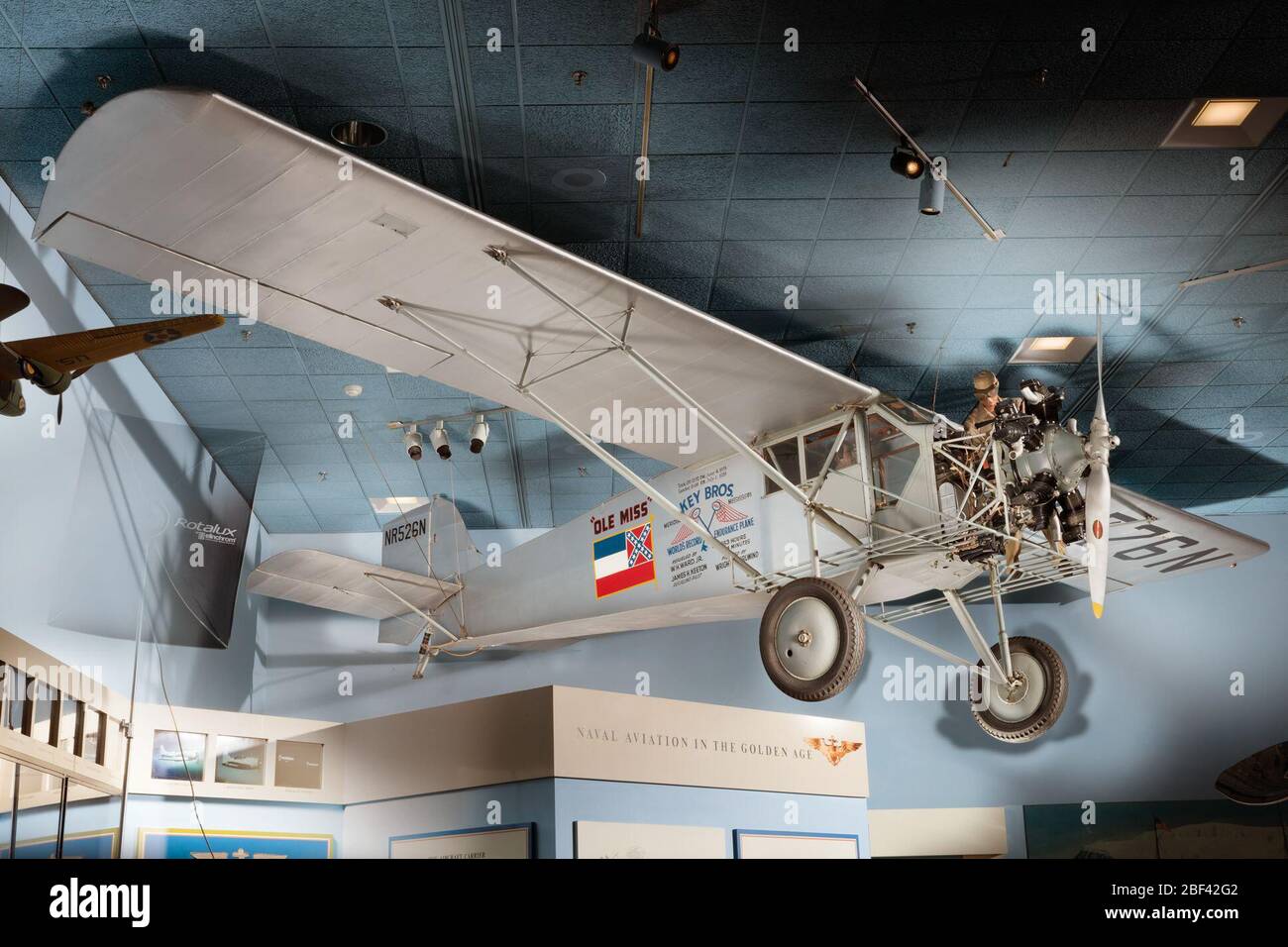 Curtiss robin hi-res stock photography and images - Alamy