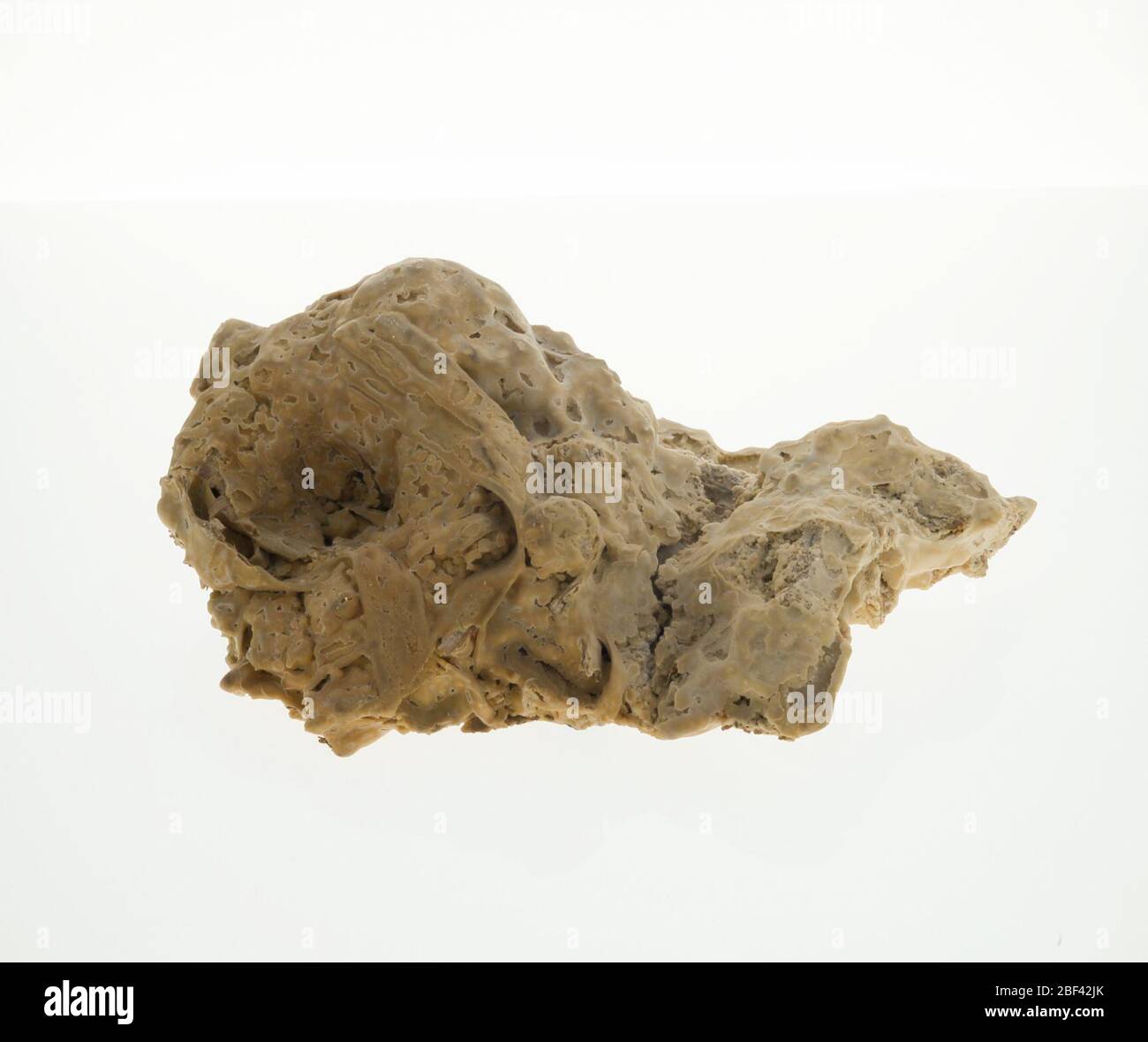 Calcium carbonate crystal formation hi-res stock photography and images ...