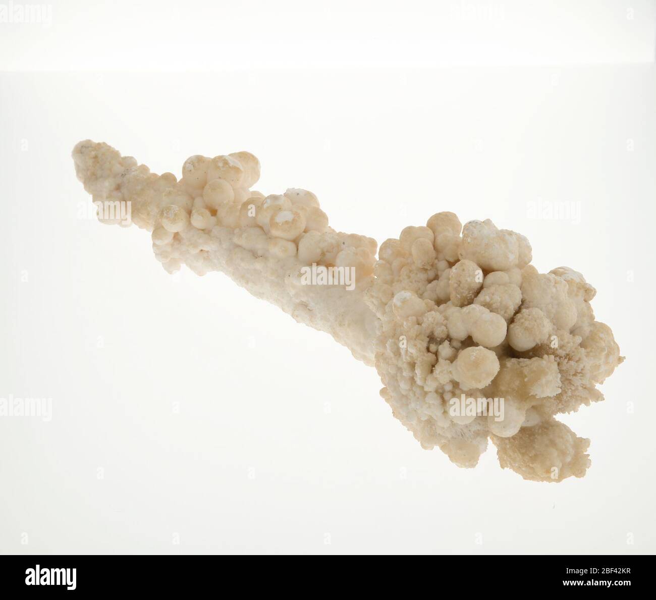 20197 hi-res stock photography and images - Alamy