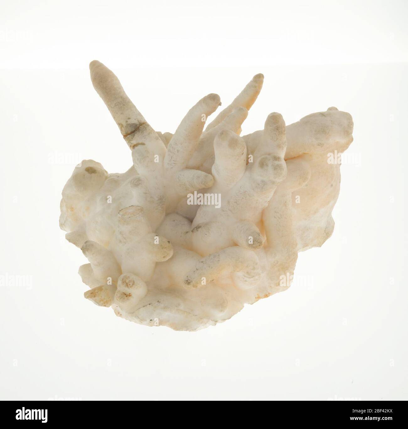 Stalagmite formations hi-res stock photography and images - Alamy