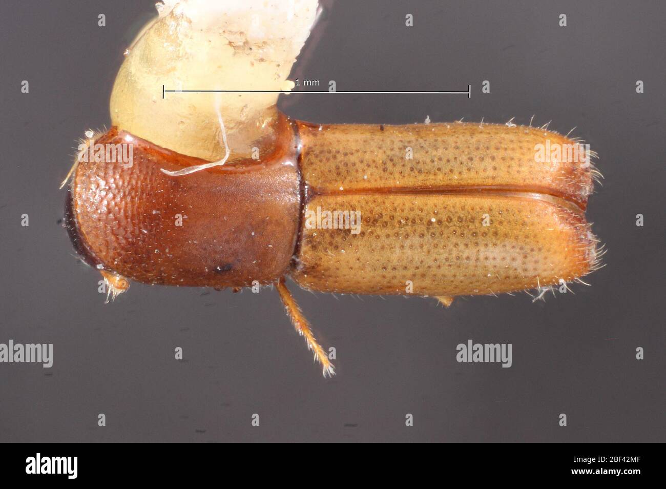 Proprium hi-res stock photography and images - Alamy