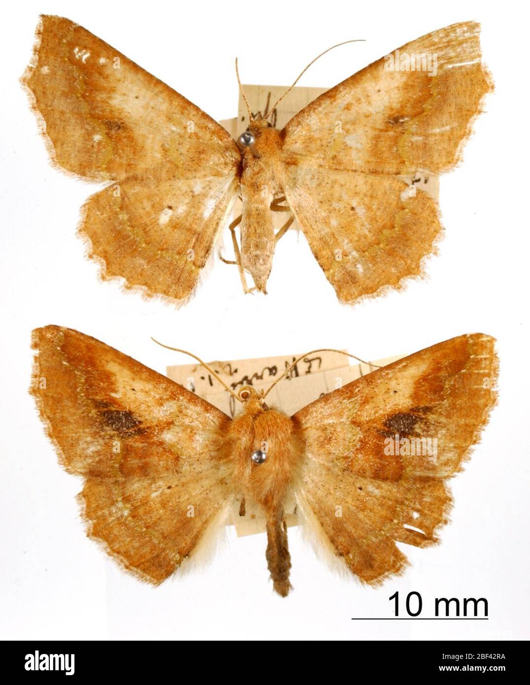 20142 hi-res stock photography and images - Alamy