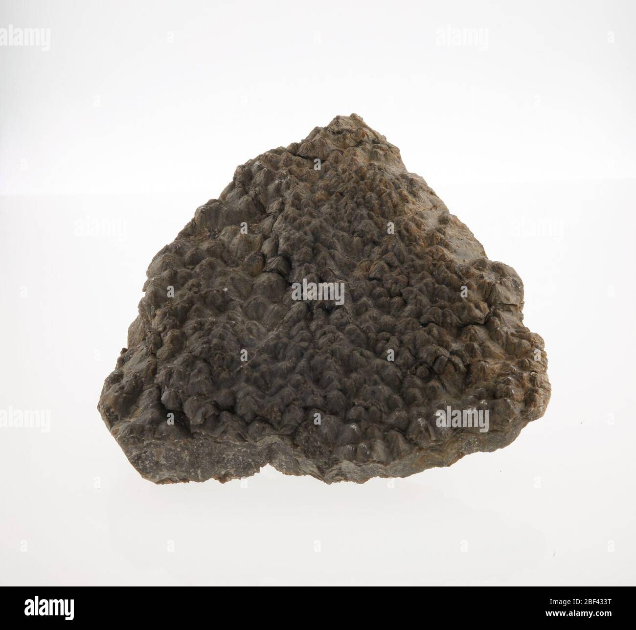 Argillaceous hi-res stock photography and images - Alamy