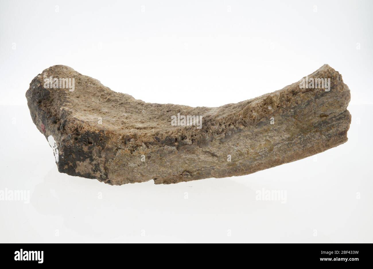 Concretion rock hi-res stock photography and images - Alamy