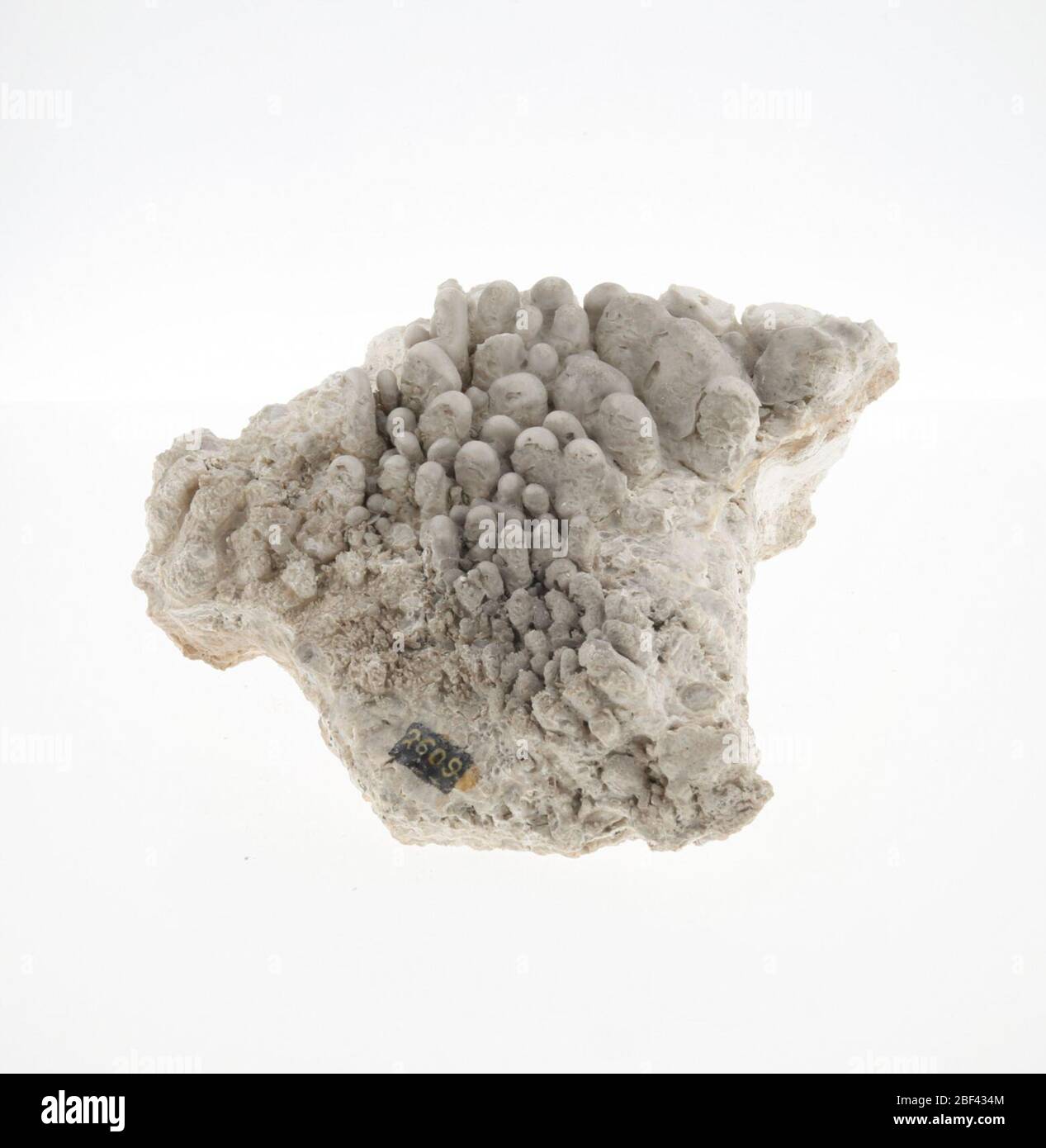 Geyserite. 20 Sep 20182 Stock Photo - Alamy