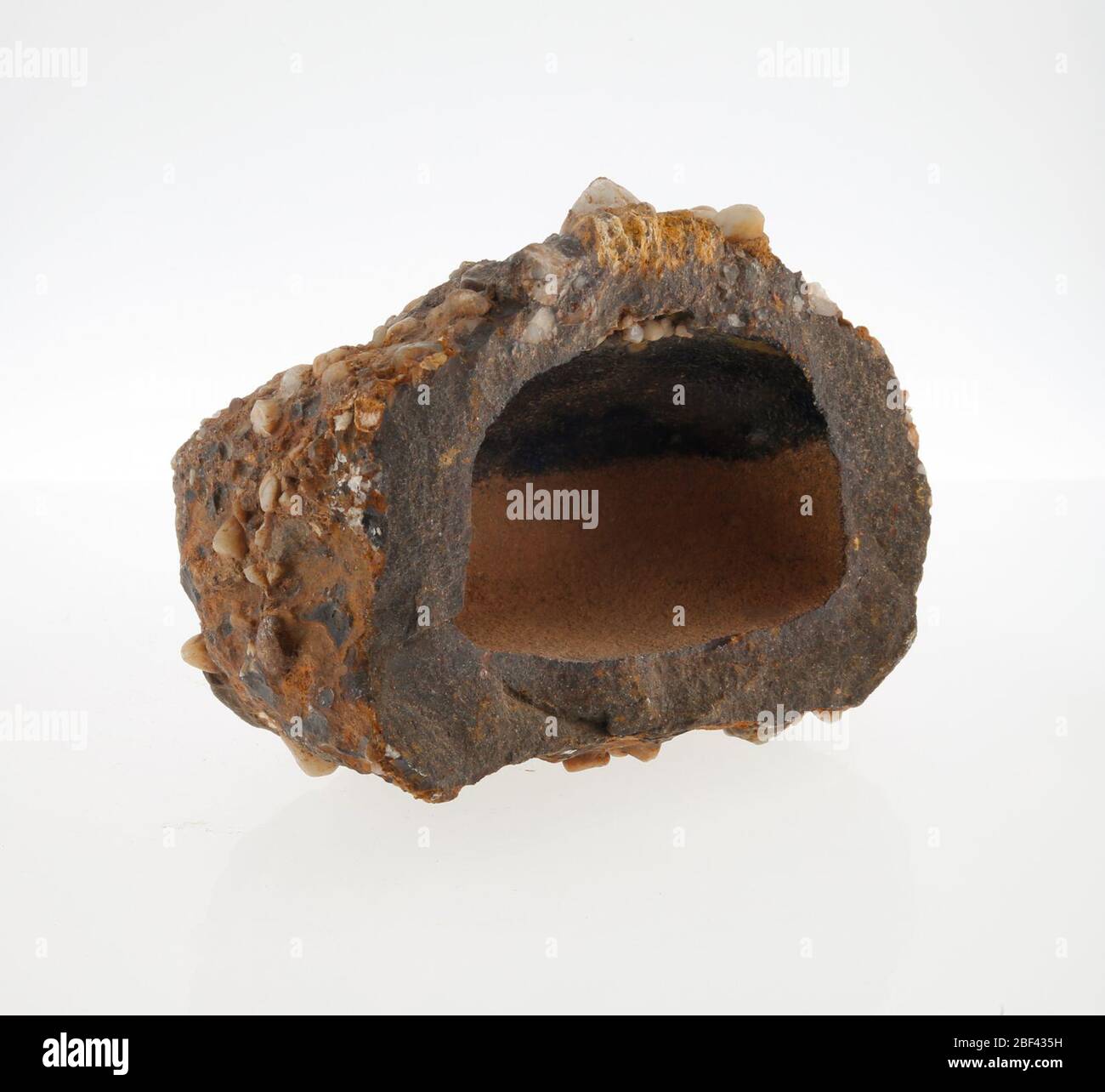 Limonite concretion hi-res stock photography and images - Alamy