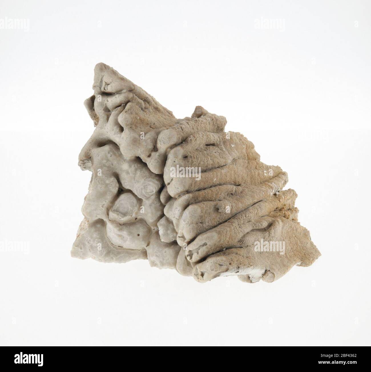 Geyserite. 20 Sep 20181 Stock Photo - Alamy