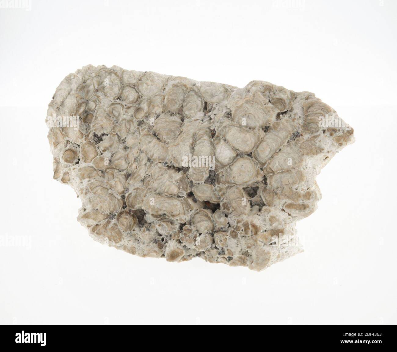 Geyserite. 20 Sep 20182 Stock Photo - Alamy