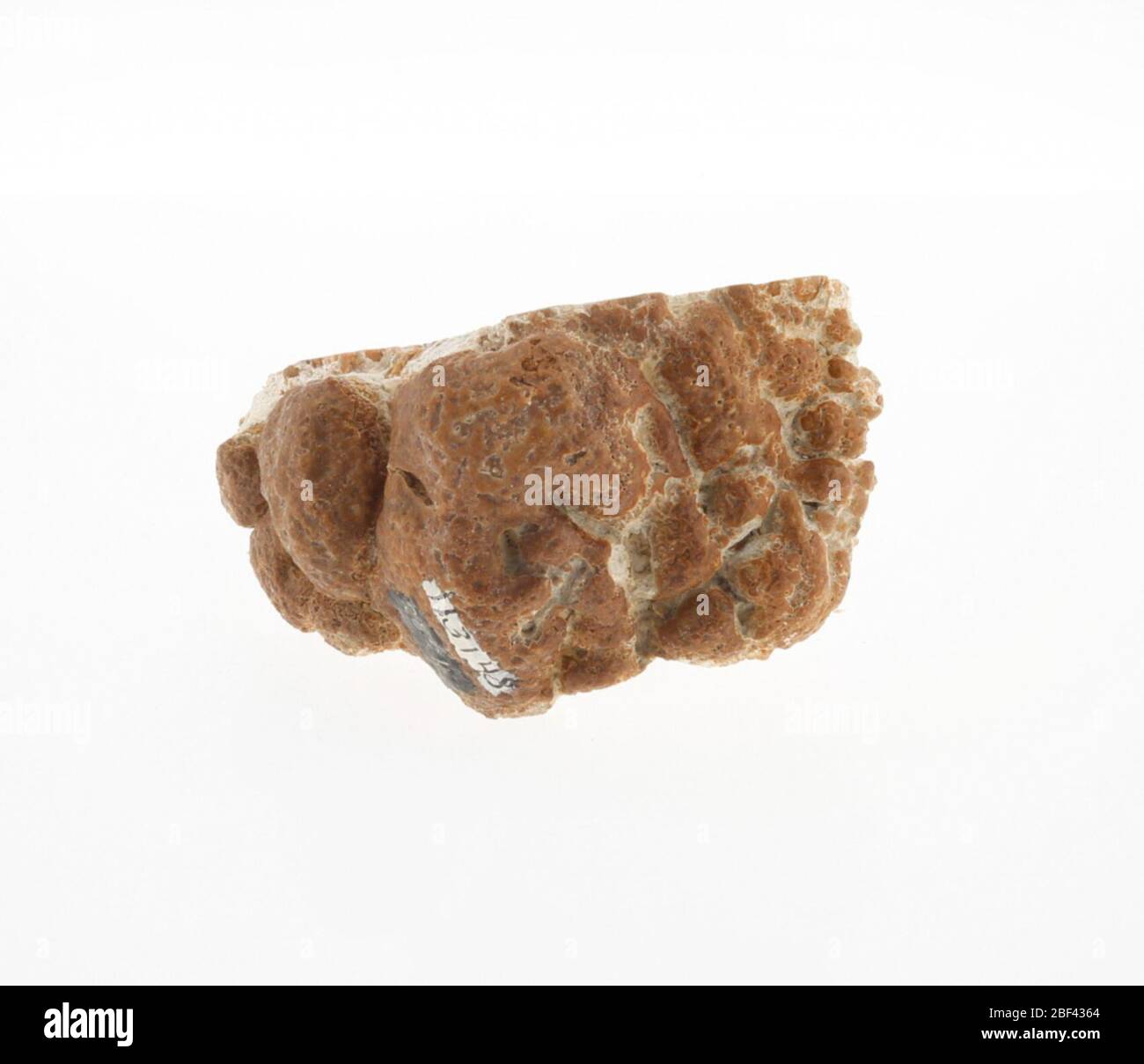 Mineral ecosystem Cut Out Stock Images & Pictures - Alamy