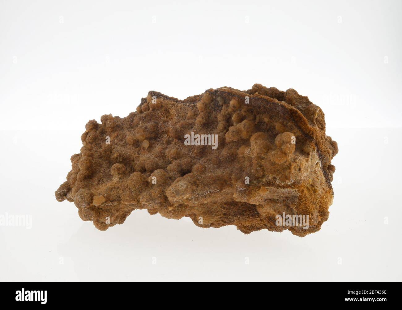 Ferruginous concretion hi-res stock photography and images - Alamy