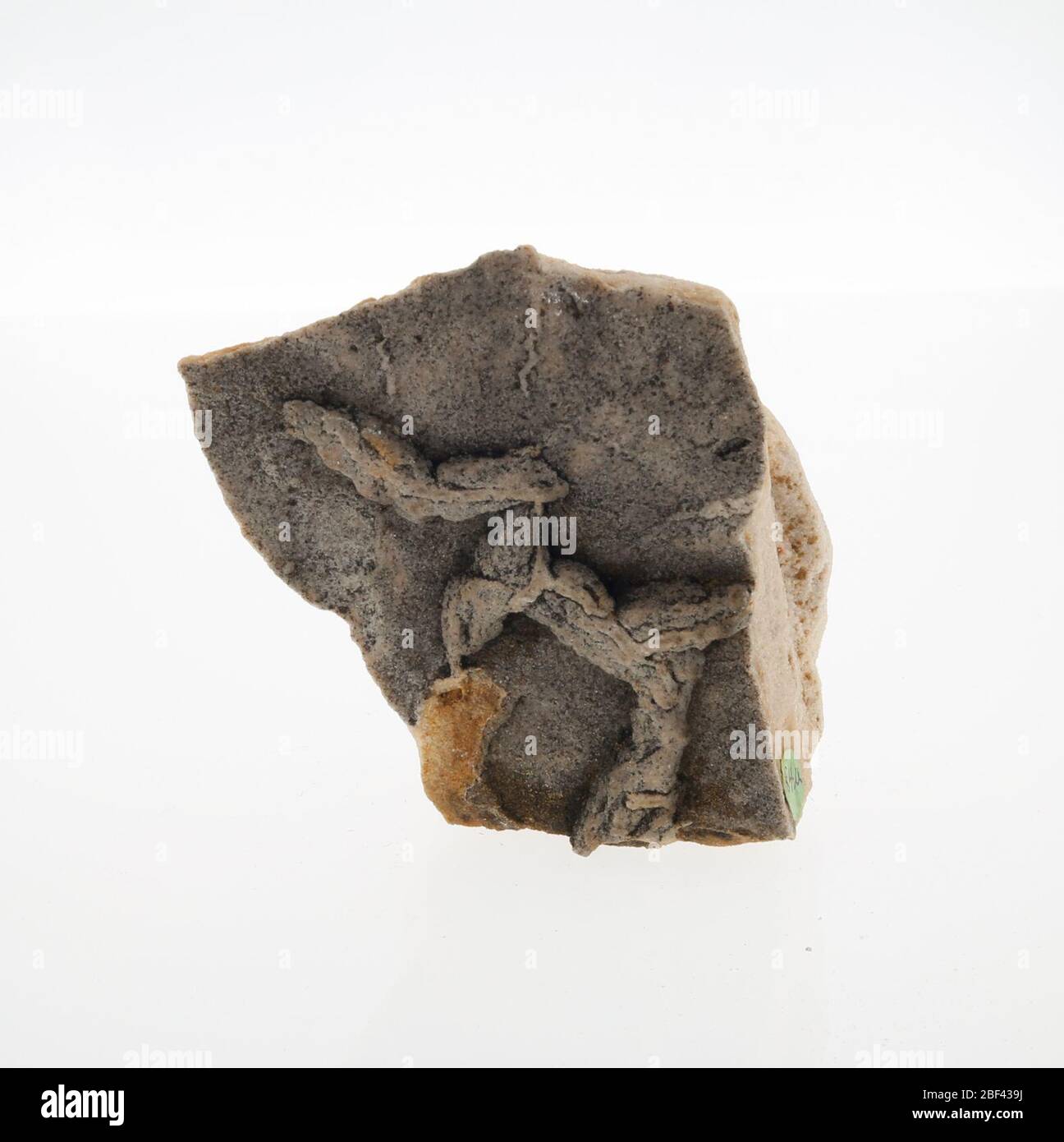 Sandstone. Cambrian14 Mar 20192 Stock Photo - Alamy