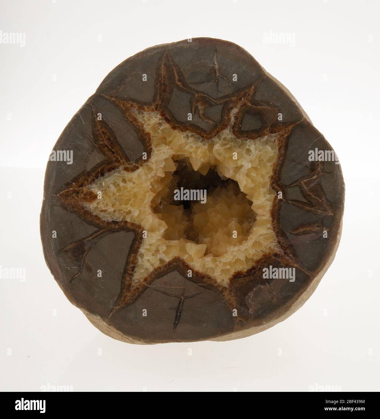 Septarian nodule hi-res stock photography and images - Alamy