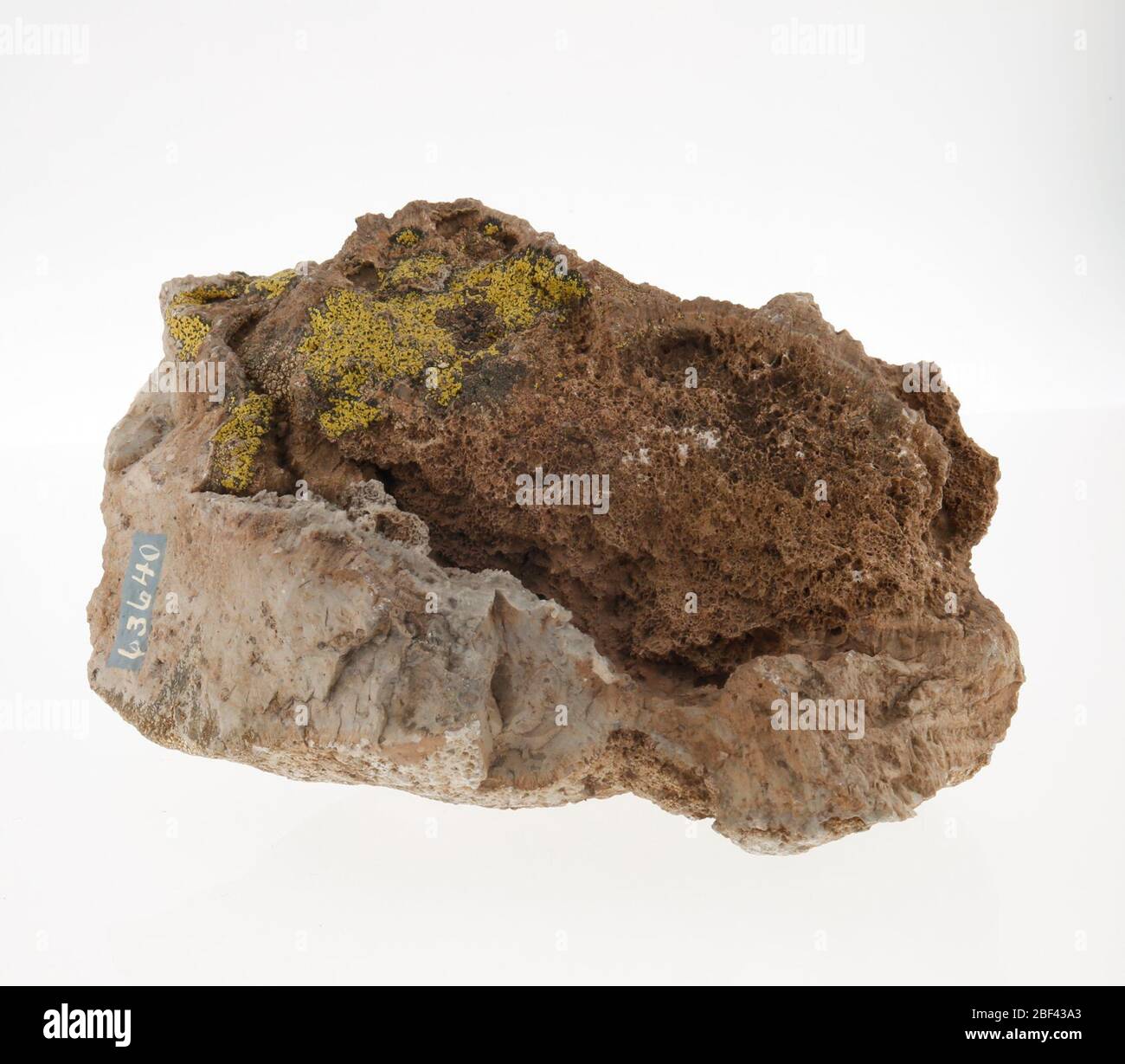 Rhyolite rock sample hi-res stock photography and images - Alamy