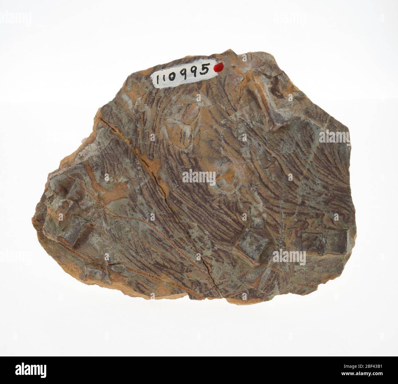 Layers of shale hi-res stock photography and images - Alamy