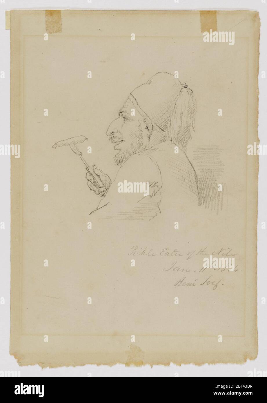 Pickle Eater of the Nile Stock Photo - Alamy