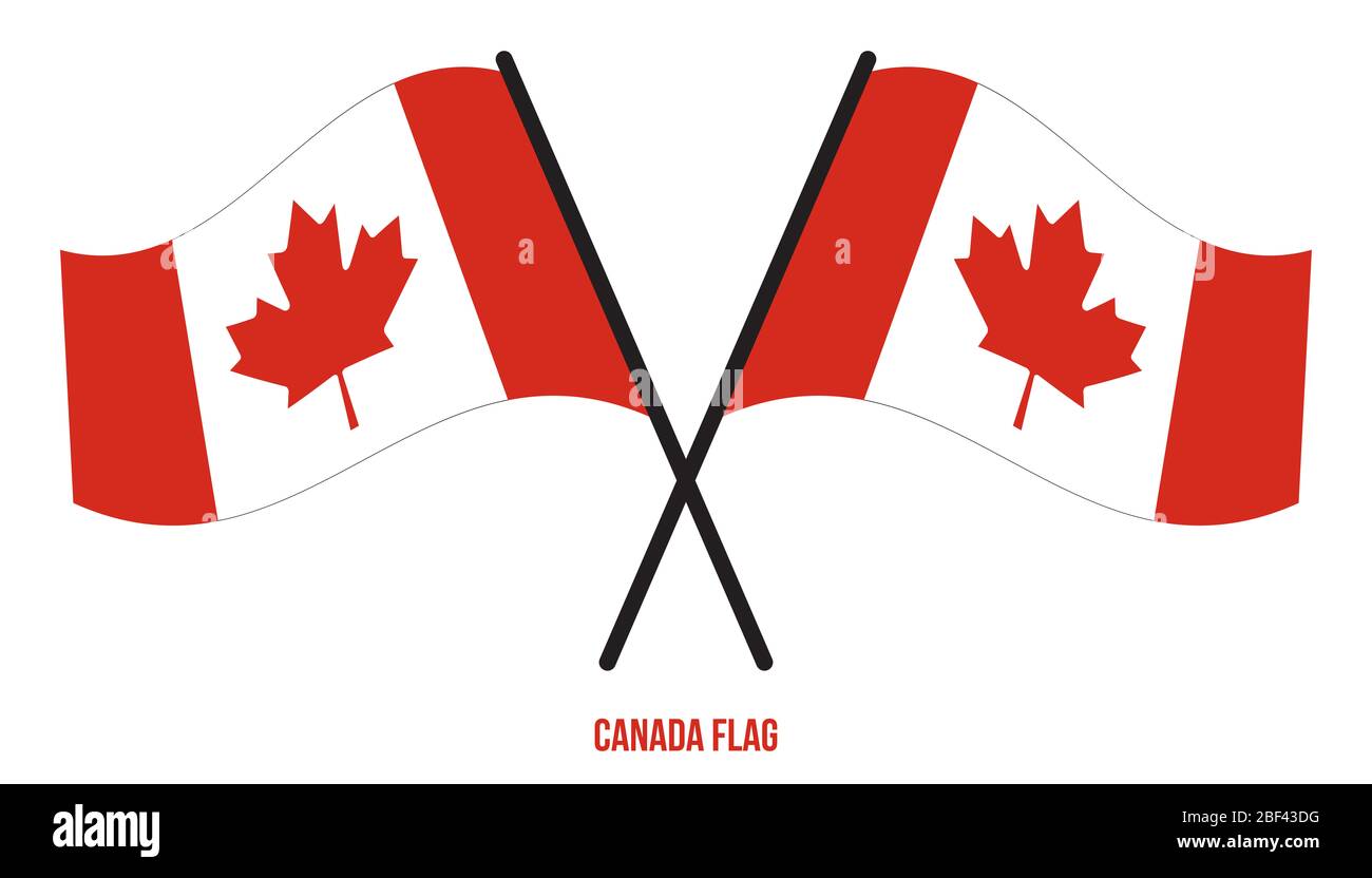 Two Crossed Waving Canada Flag On Isolated White Background. Canada ...