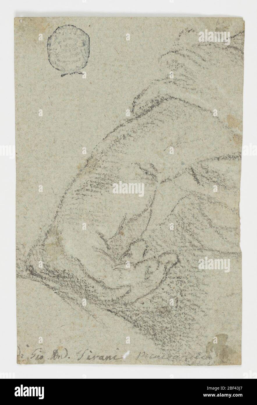 Study A left hand in a leaning position. Vertical composition of a hand ...