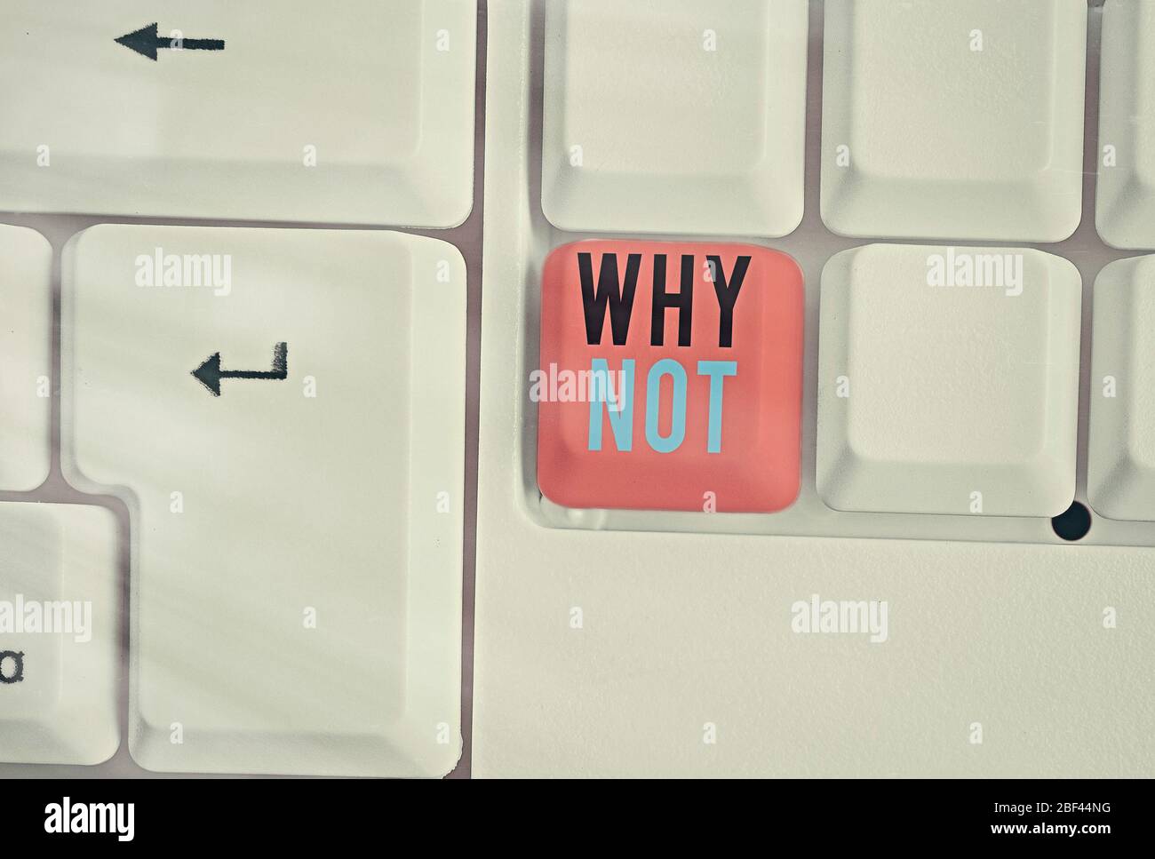 Word writing text Why Not. Business photo showcasing used to make a ...