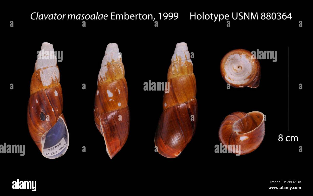 Ecology fieldwork hi-res stock photography and images - Alamy