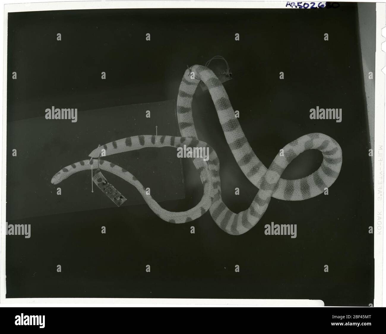 Klossi hi-res stock photography and images - Alamy