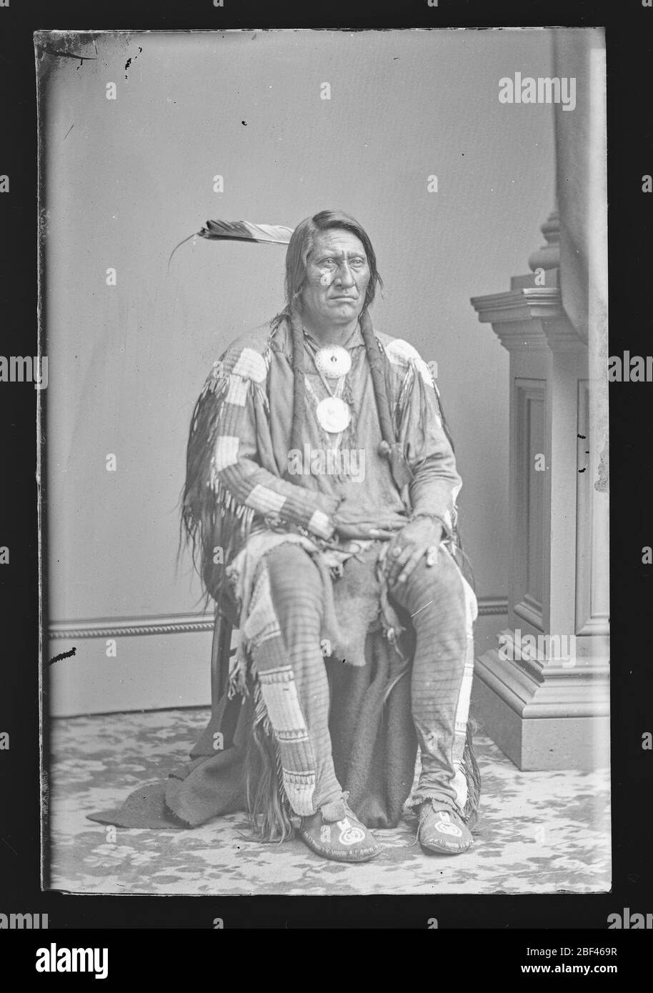 Lean Bear High Resolution Stock Photography and Images - Alamy