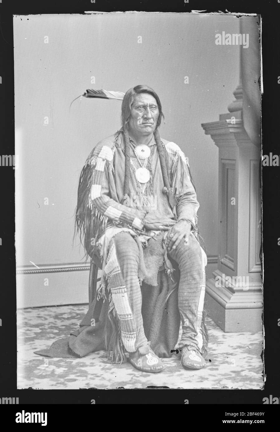 Lean bear hi-res stock photography and images - Alamy