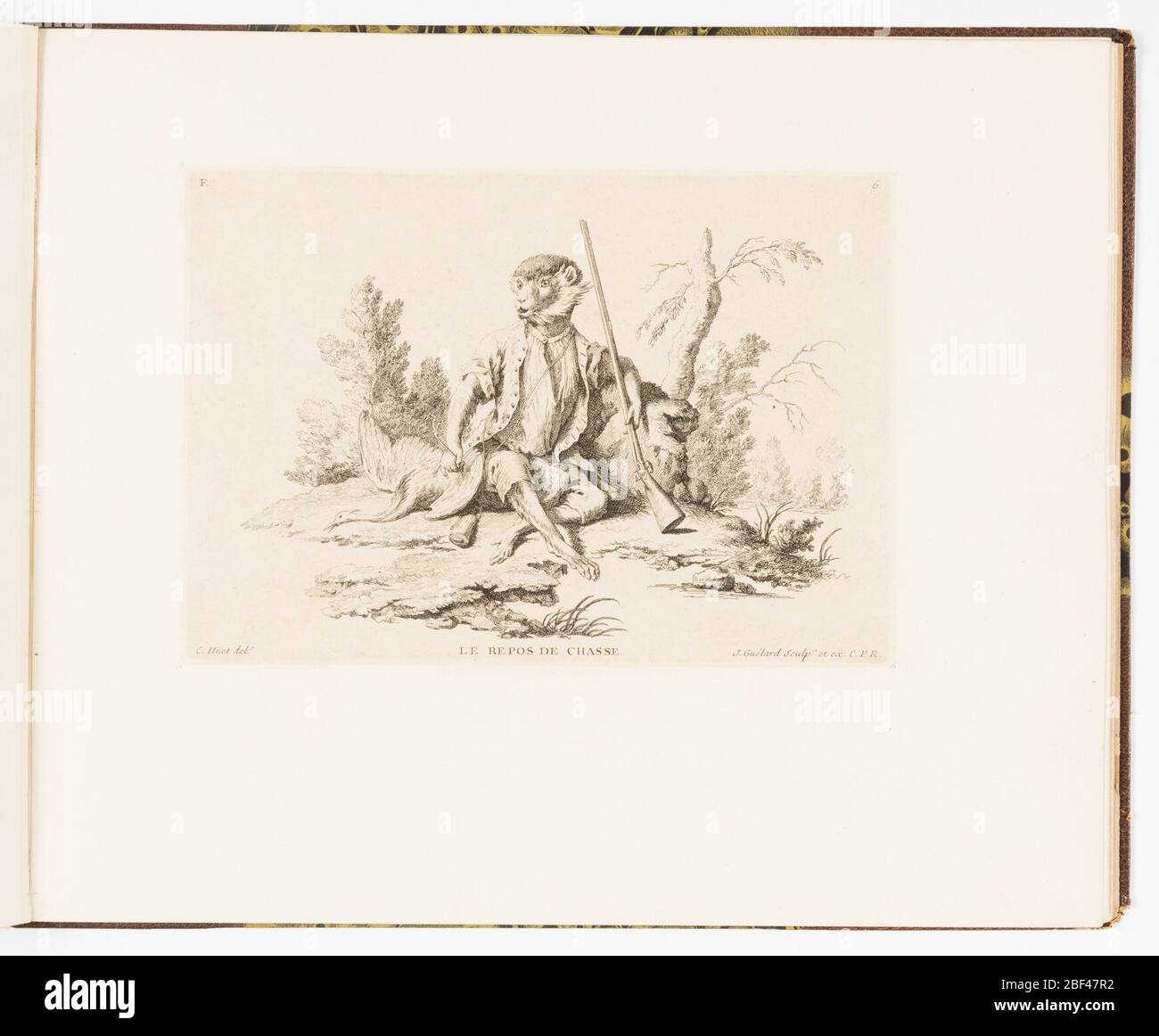 Seated monkey hi-res stock photography and images - Alamy