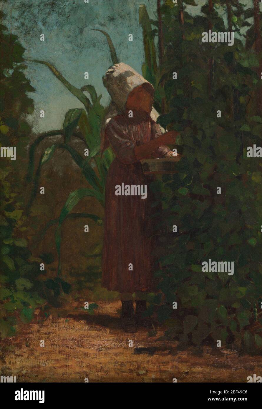 Bean picker hi-res stock photography and images - Alamy