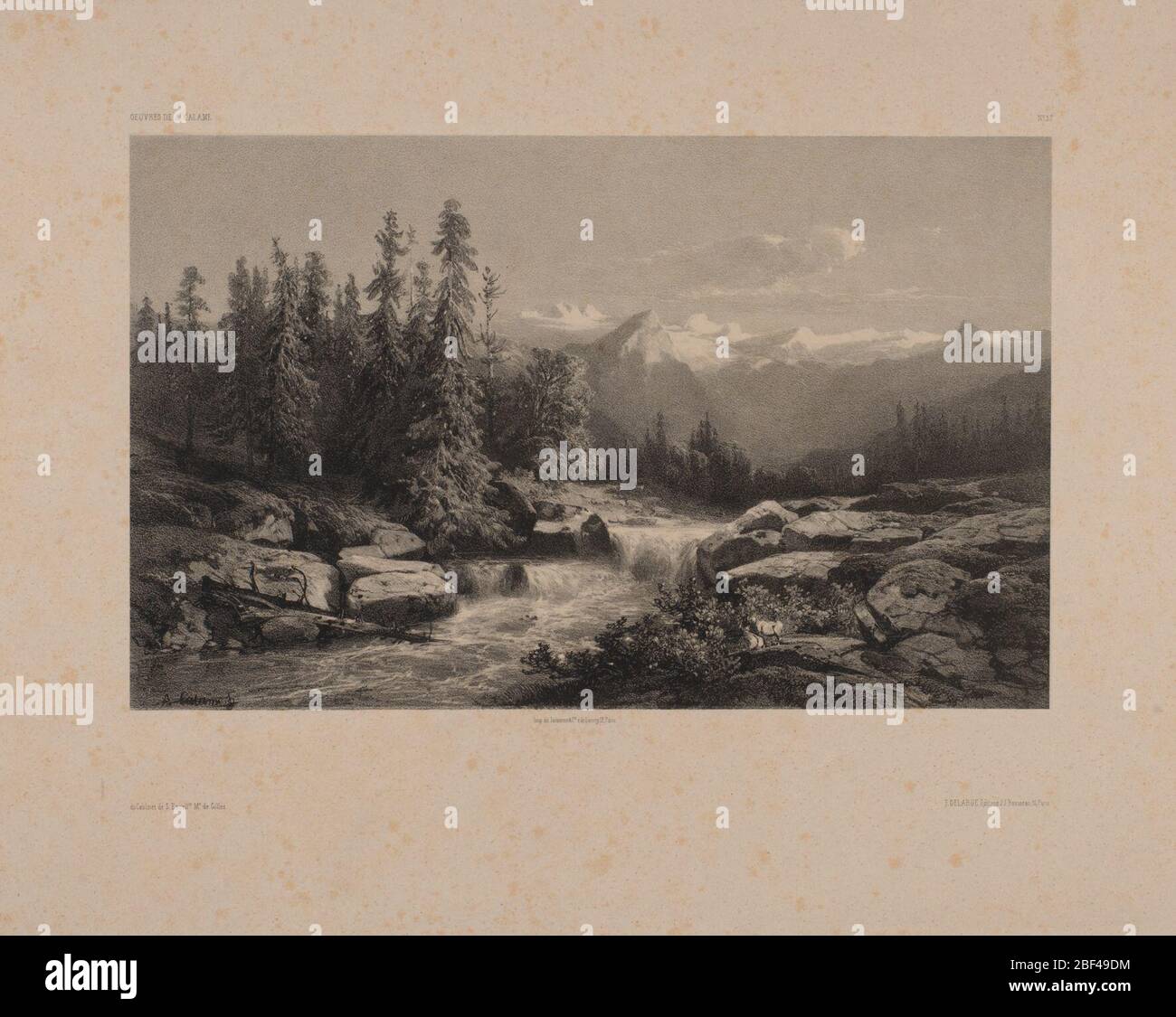 Calame hi-res stock photography and images - Alamy