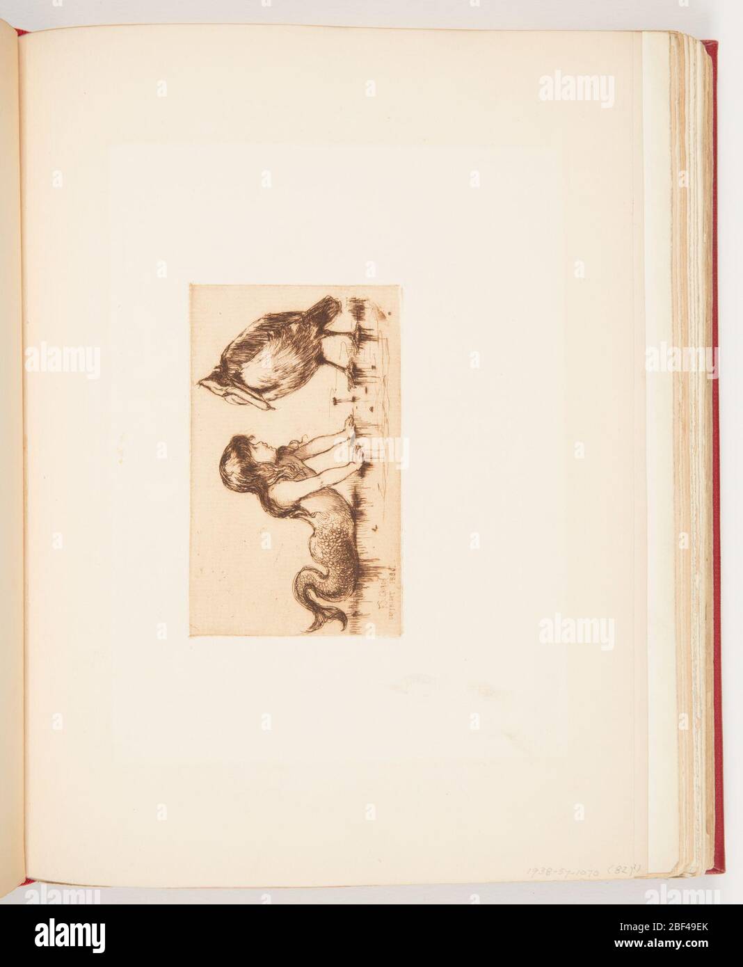 Mermaid and Bird. Left; profile of young mermaid out of water, facing ...