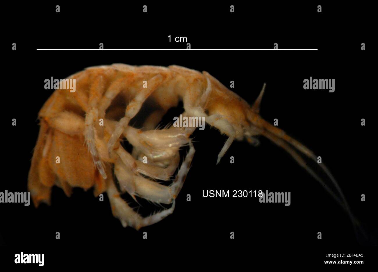 201420 hi-res stock photography and images - Alamy