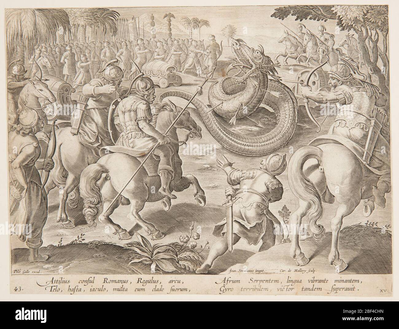 Giant african serpent hi-res stock photography and images - Alamy