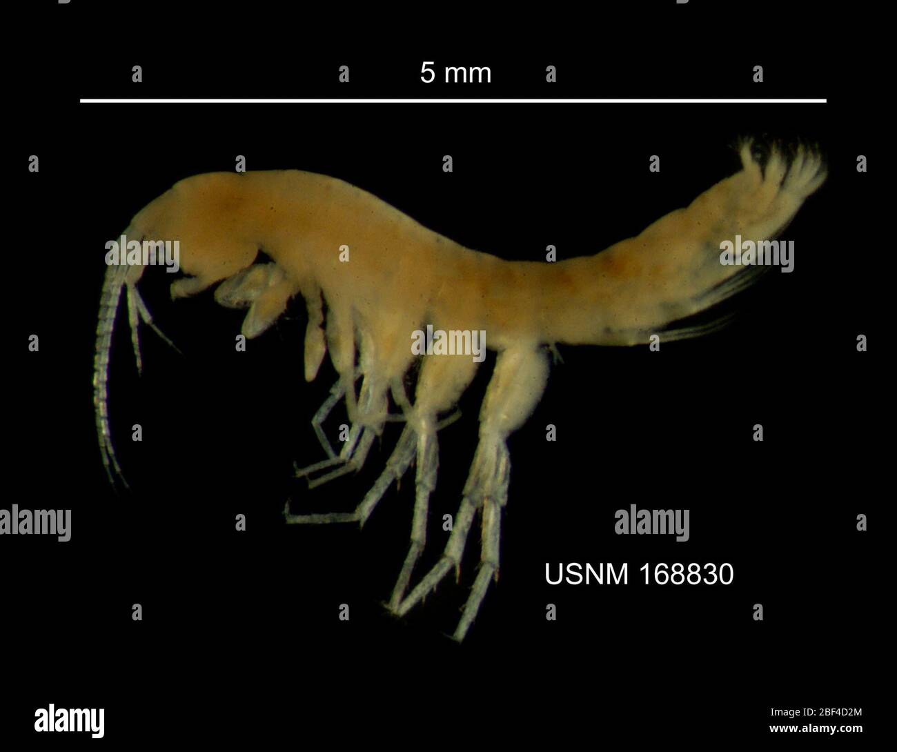 Kenki hi-res stock photography and images - Alamy