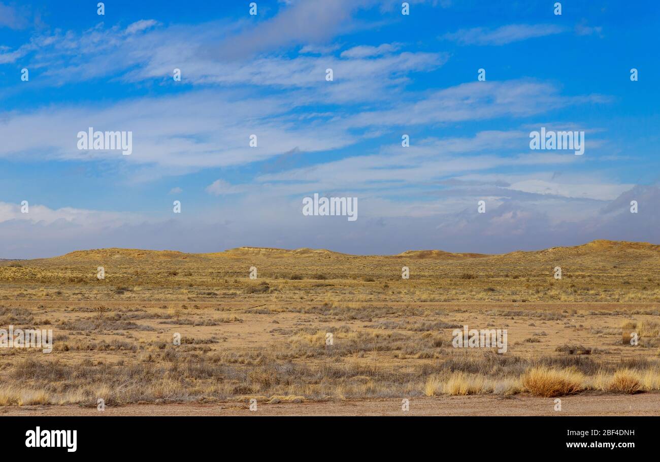 Mexico desert landscape cactus hi-res stock photography and images - Alamy