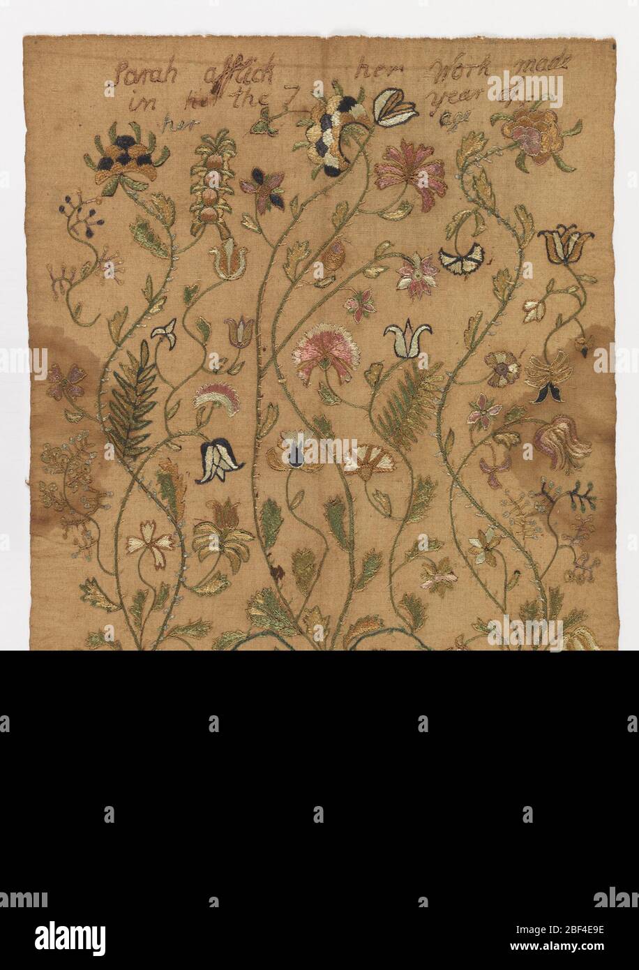 Sampler. Three vases are aligned across the bottom, each with very tall ...