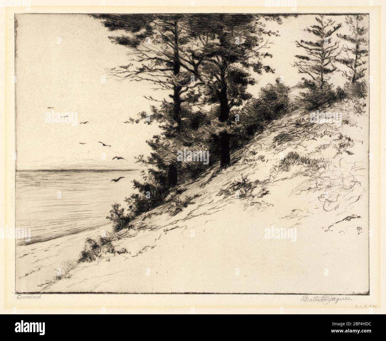 Duneland hi-res stock photography and images - Alamy