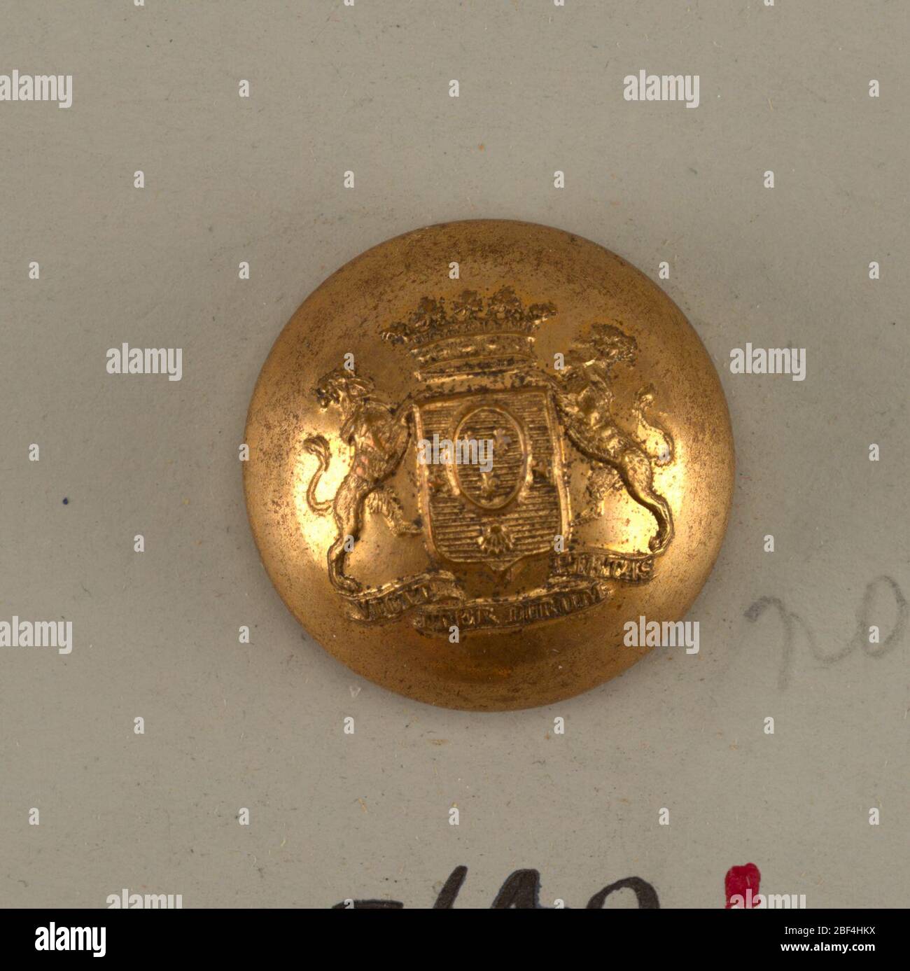 Lion with crown hi-res stock photography and images - Alamy