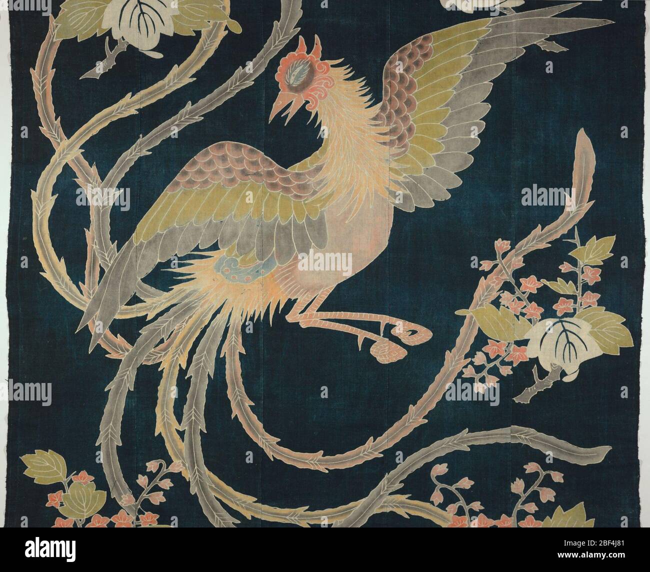 Long narrow tail feathers hi-res stock photography and images - Alamy