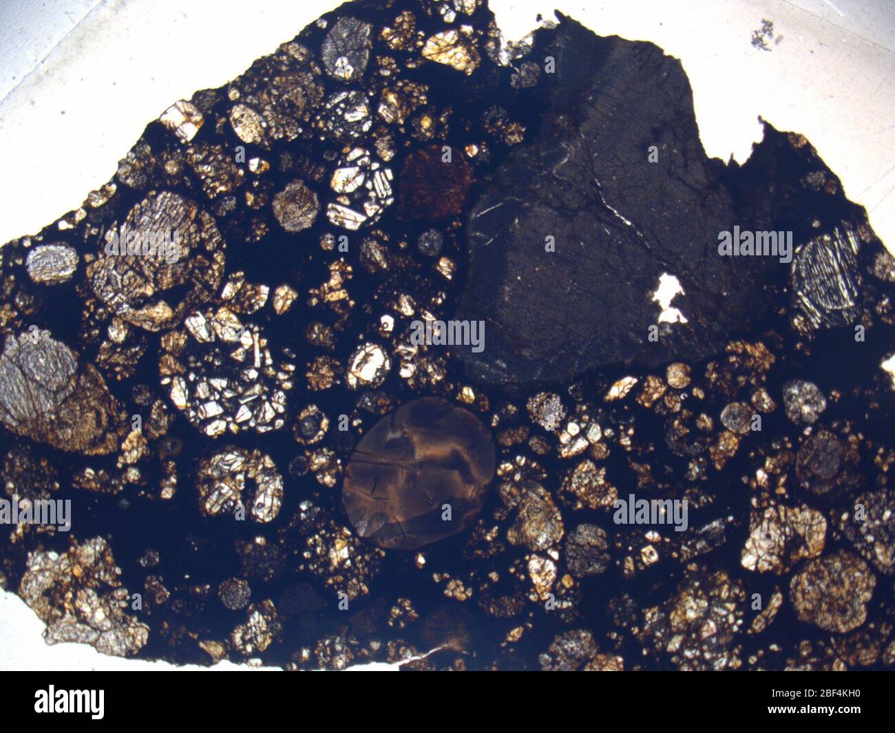 Micrograph of MET 00621,2 meteorite under plane-polarized light at 1 ...