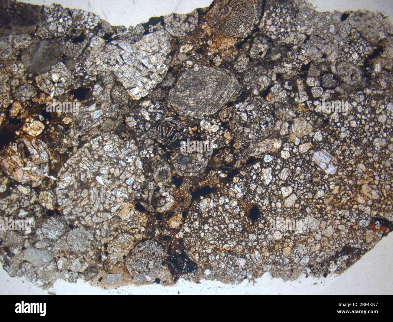 Micrograph of ALHA77304,14 meteorite under plane-polarized light at 1 ...