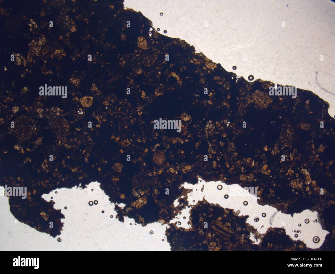 Micrograph of GRA 98013,2 meteorite under plane-polarized light at 1 ...