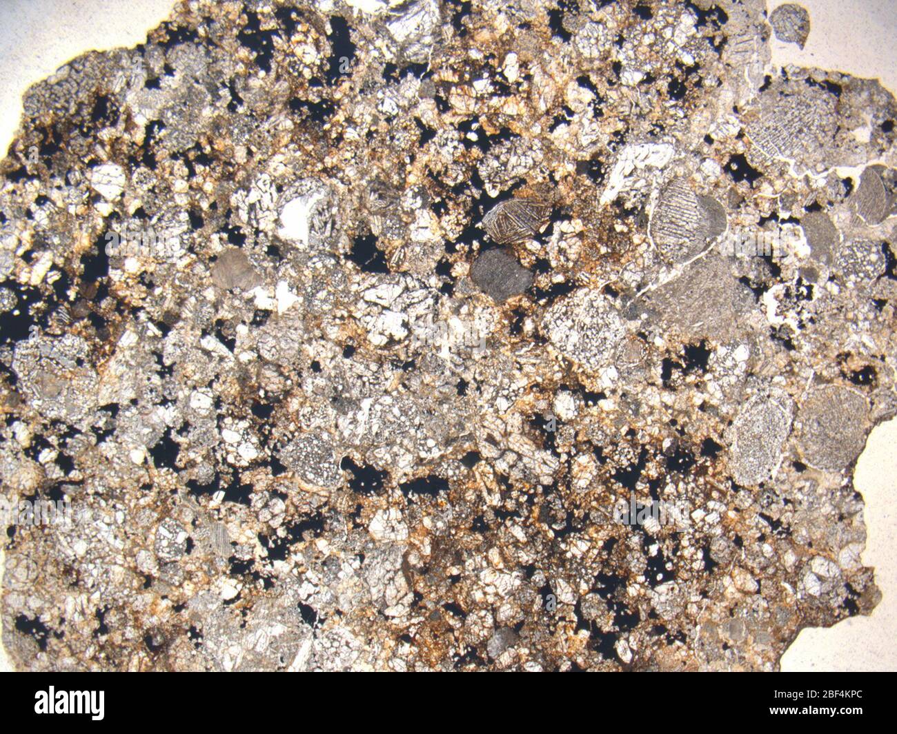 Micrograph of ALHA80121,4 meteorite under plane-polarized light at 1 ...