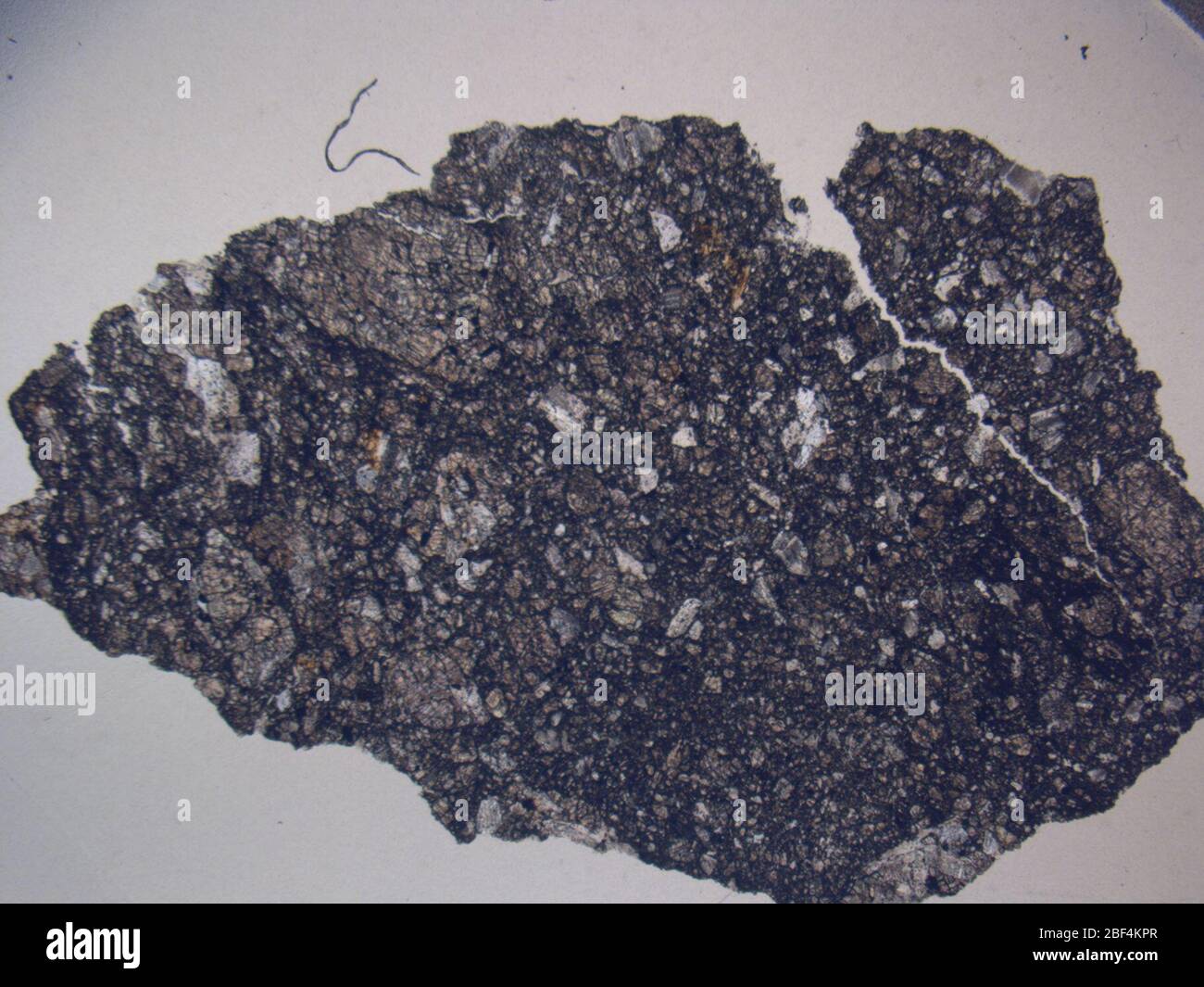 Sample magnified under microscope hi-res stock photography and images ...