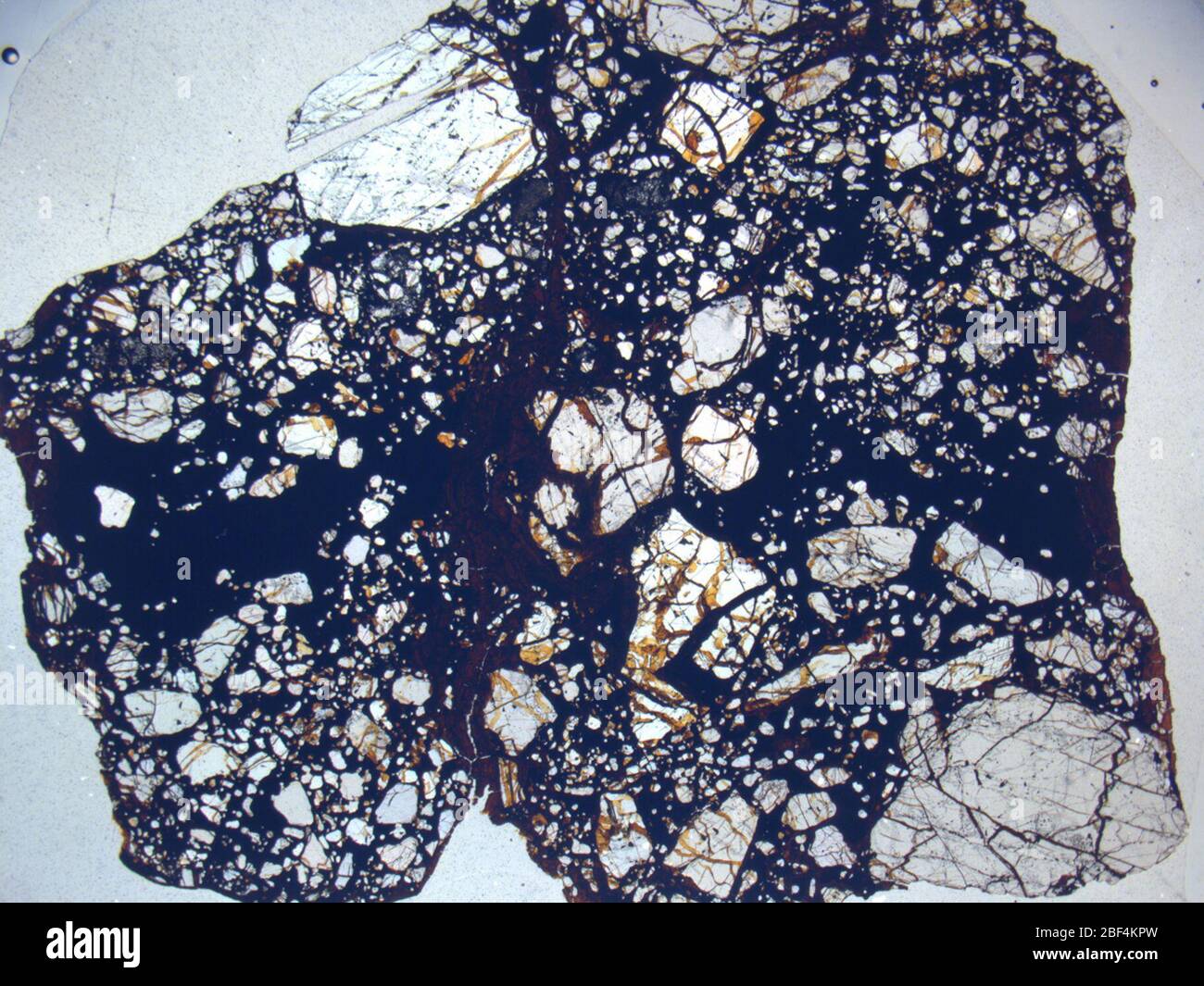 Micrograph of RKPA80263,2 meteorite under plane-polarized light at 1 ...